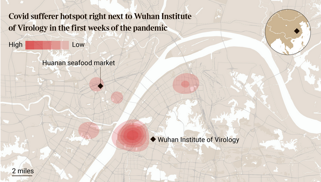 The Continuing Mystery Of The Origin Of The Wuhan Pandemic | David Murrin