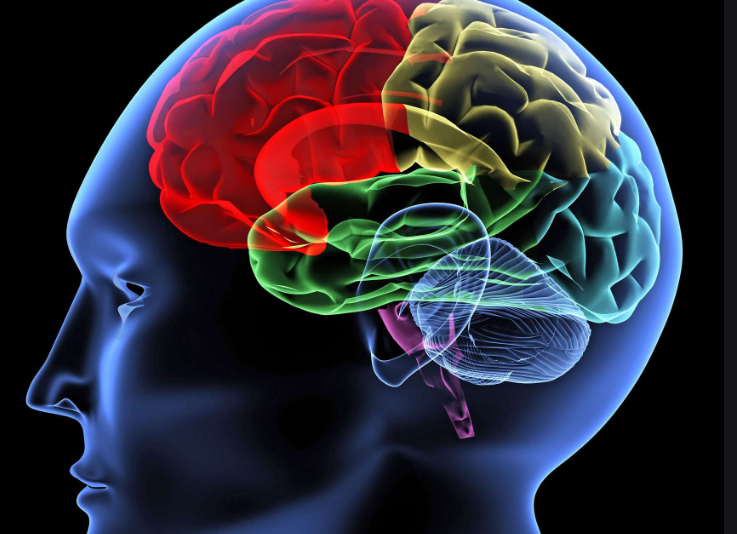 Understanding Human Herding: Part 1 – Recognising Our True Human Nature ...