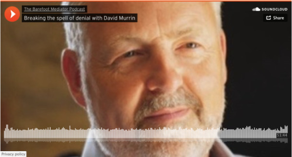 Breaking the spell of denial with David Murrin | David Murrin
