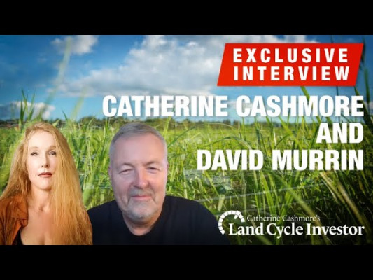 War and the Real Estate Cycle with David Murrin | David Murrin