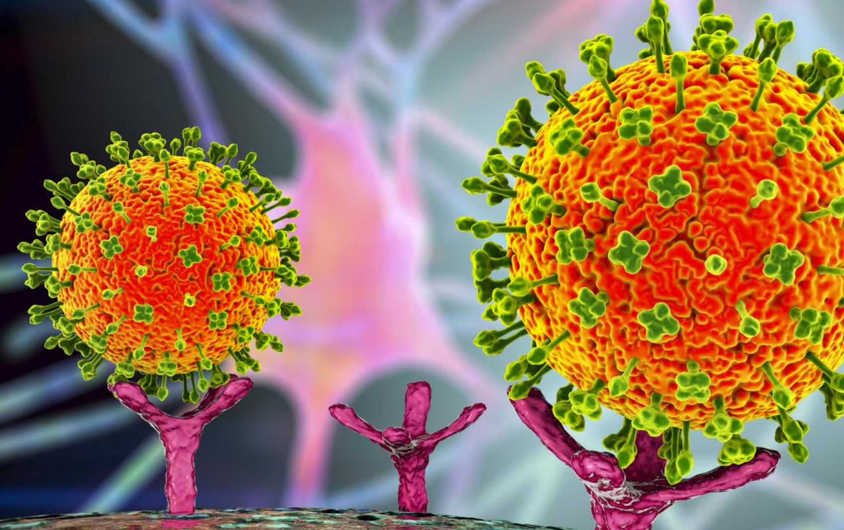 The CCPs Ongoing Biological Warfare Programme and The Nipah Virus ...